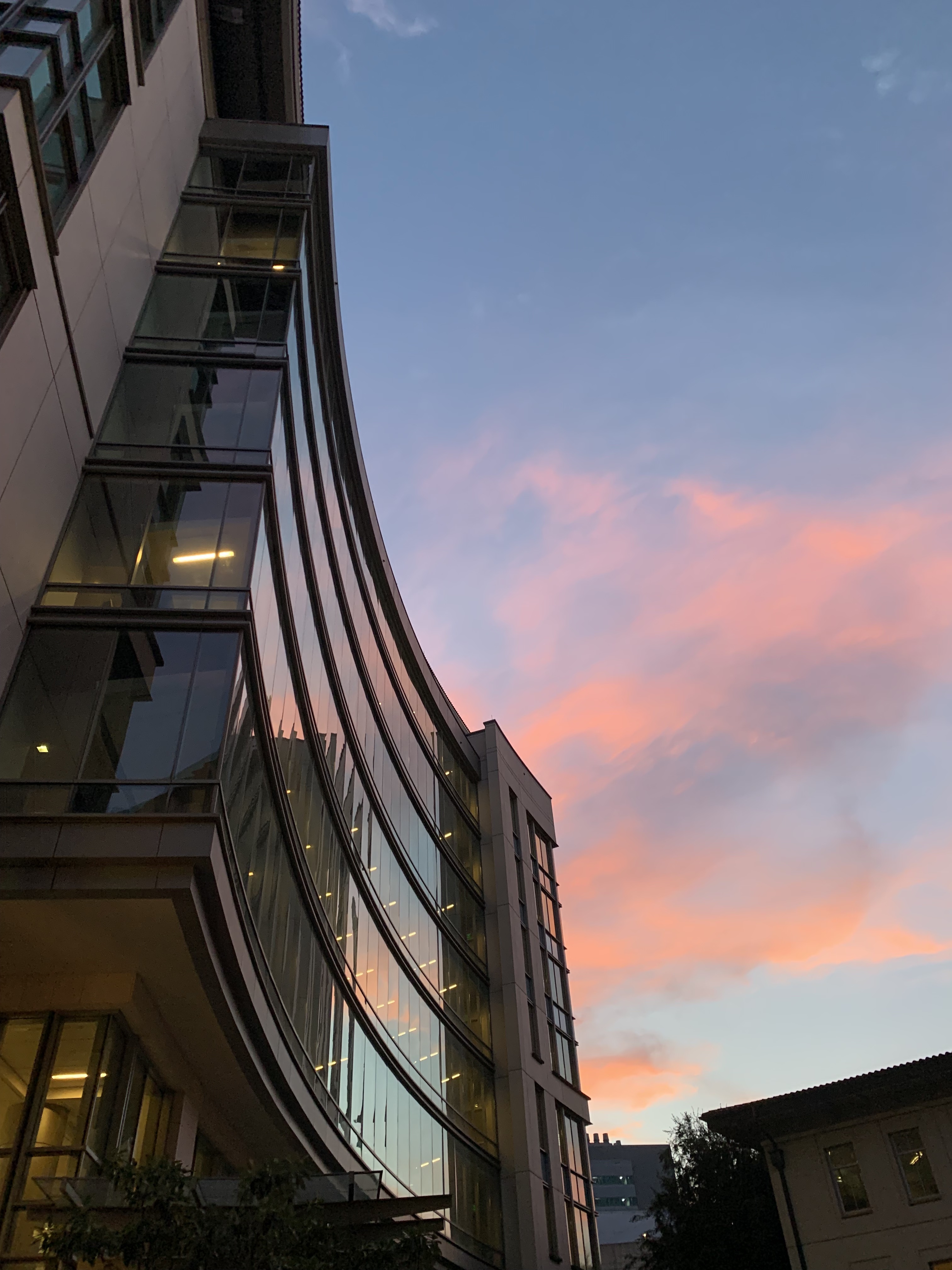 Going Back to School after Working – Rollins Student Ambassadors